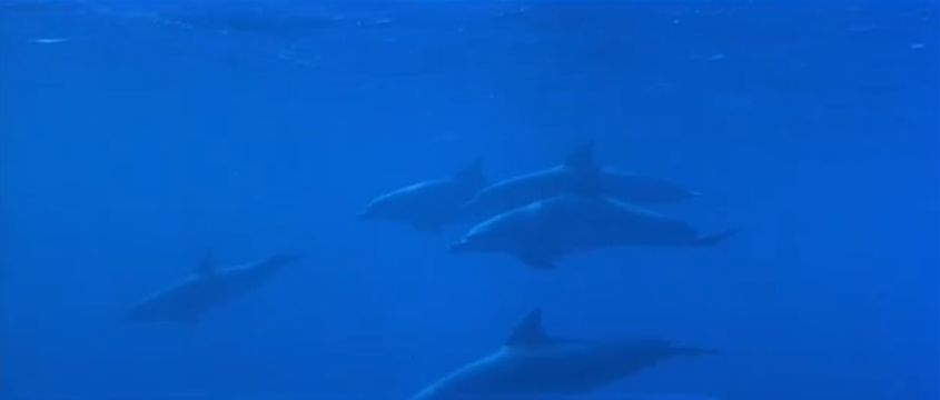 「ACRI」 | letrou0123のブログ