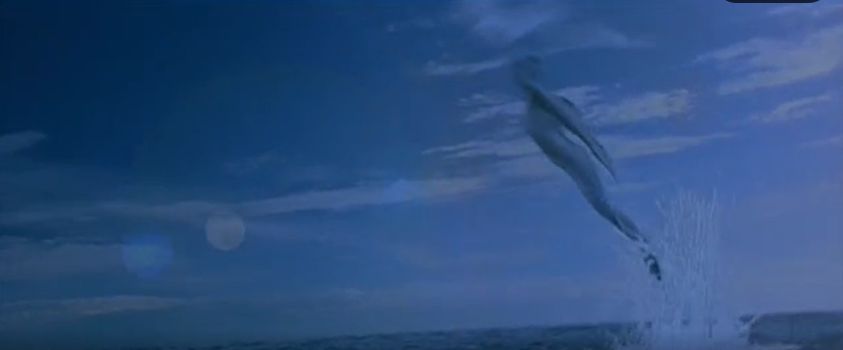 「ACRI」 | letrou0123のブログ